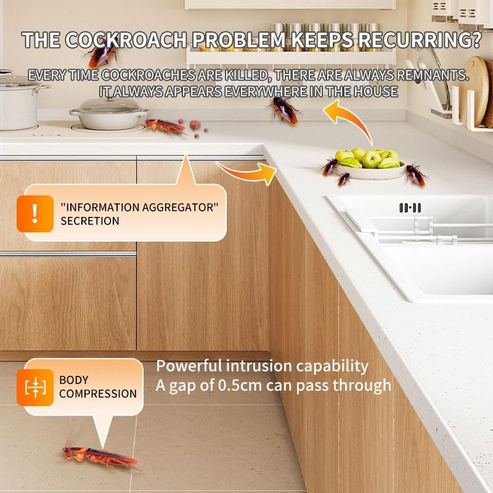 Cockroach Gel Bait with Syringe Tip – Zenvyco